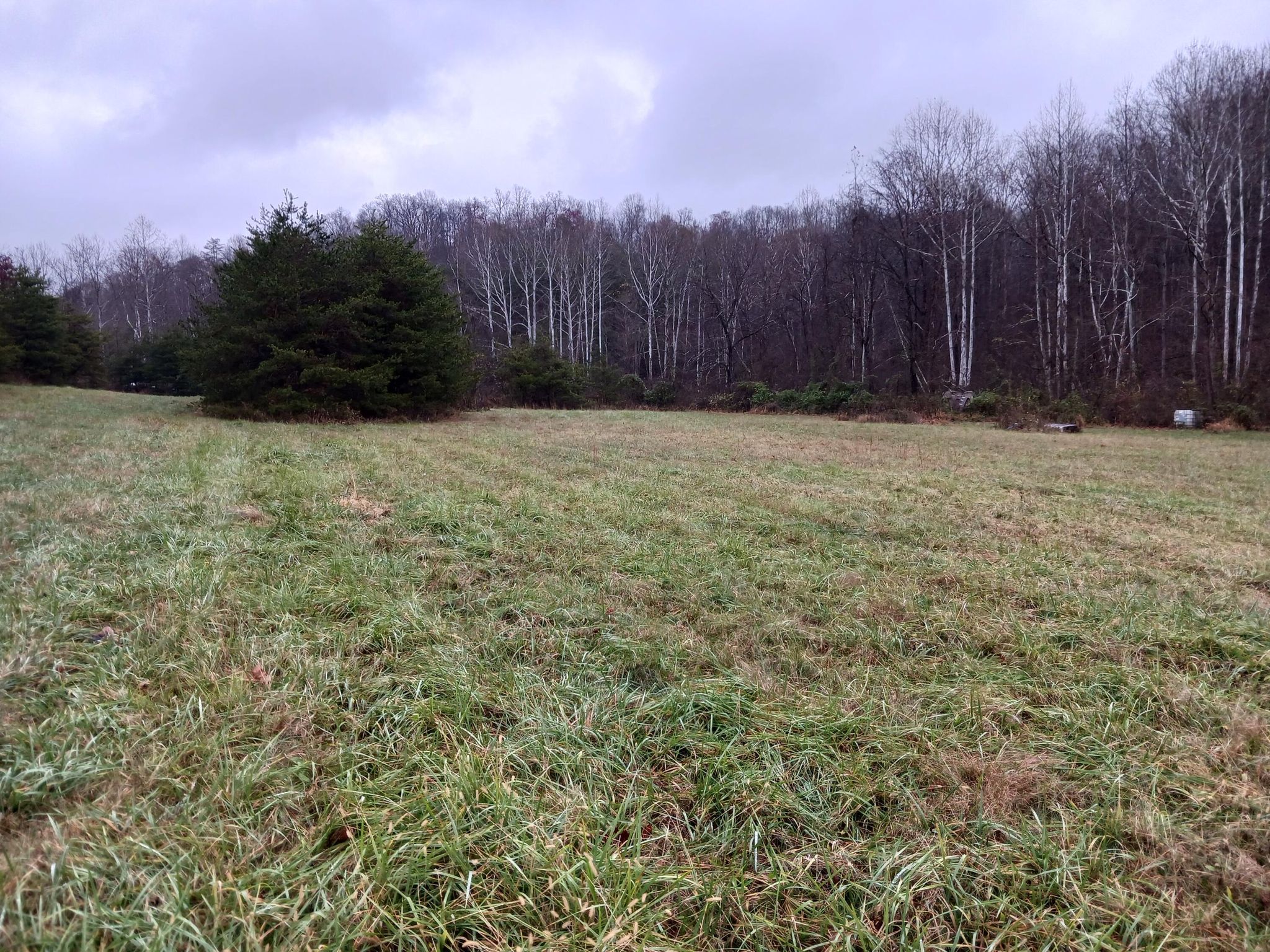 38440 Little Forest Run Rd, Reedsville, OH 45772 | MLS# 222041923 | Trulia