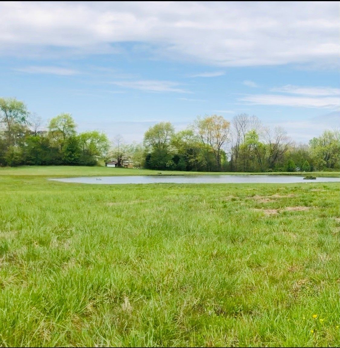 3 Hoyt Dr #3, Lawrenceburg, TN 38464 | Trulia