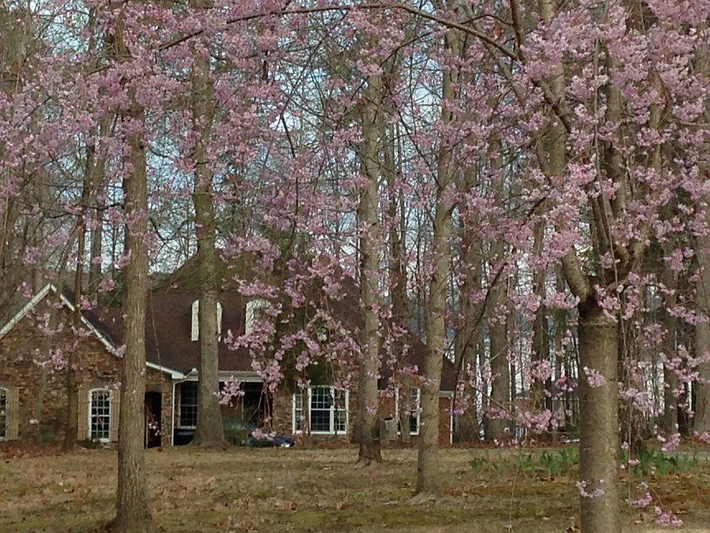 2622 Oxford Dr, Sutherland, VA 23885 - See Est. Value, Schools & More