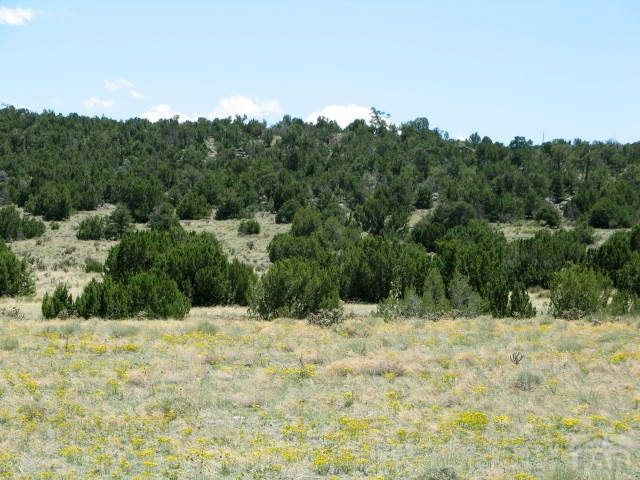 28 Alex Sample Rd, Walsenburg, CO 81089 - See Est. Value, Schools & More