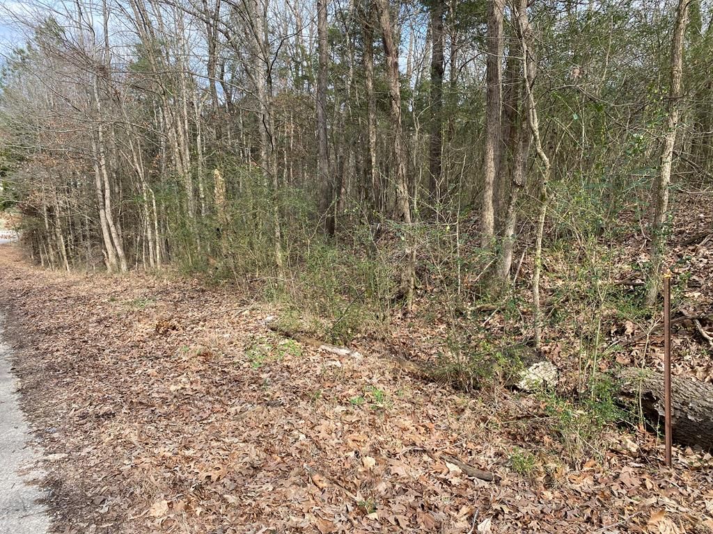 Cummins Rd/Eva Harbor Rd, Eva, TN 38333 - See Est. Value, Schools & More