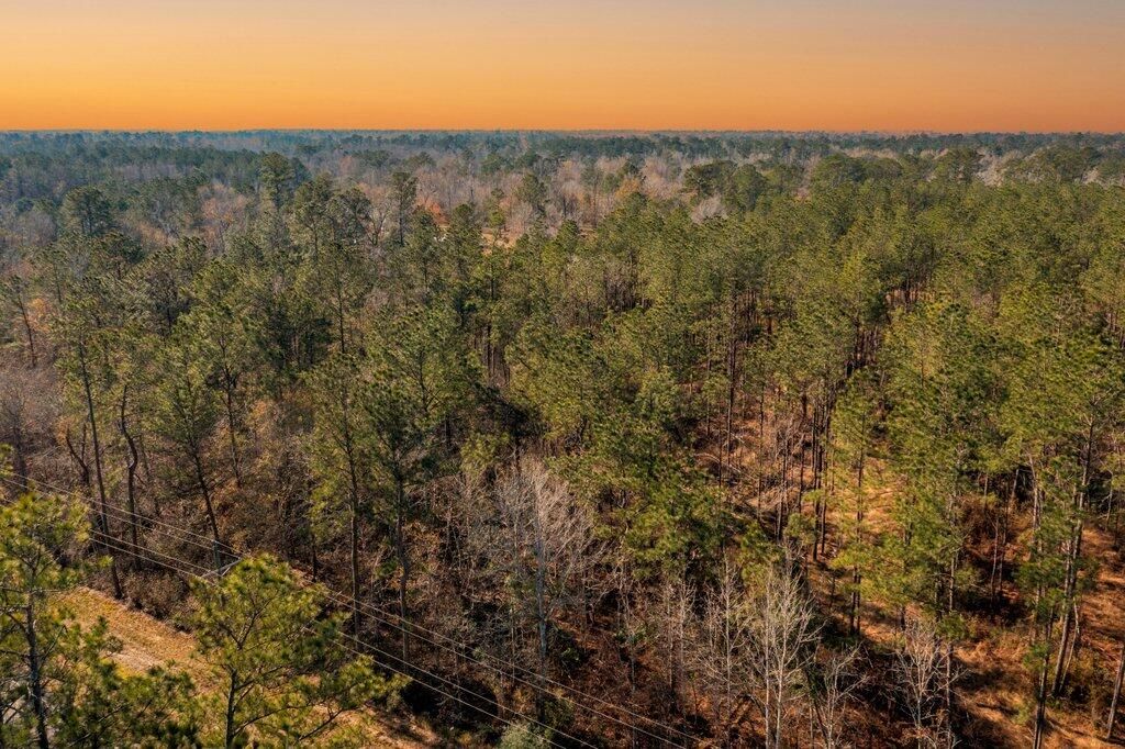 Old River Rd, Starks, LA 70661 - See Est. Value, Schools & More