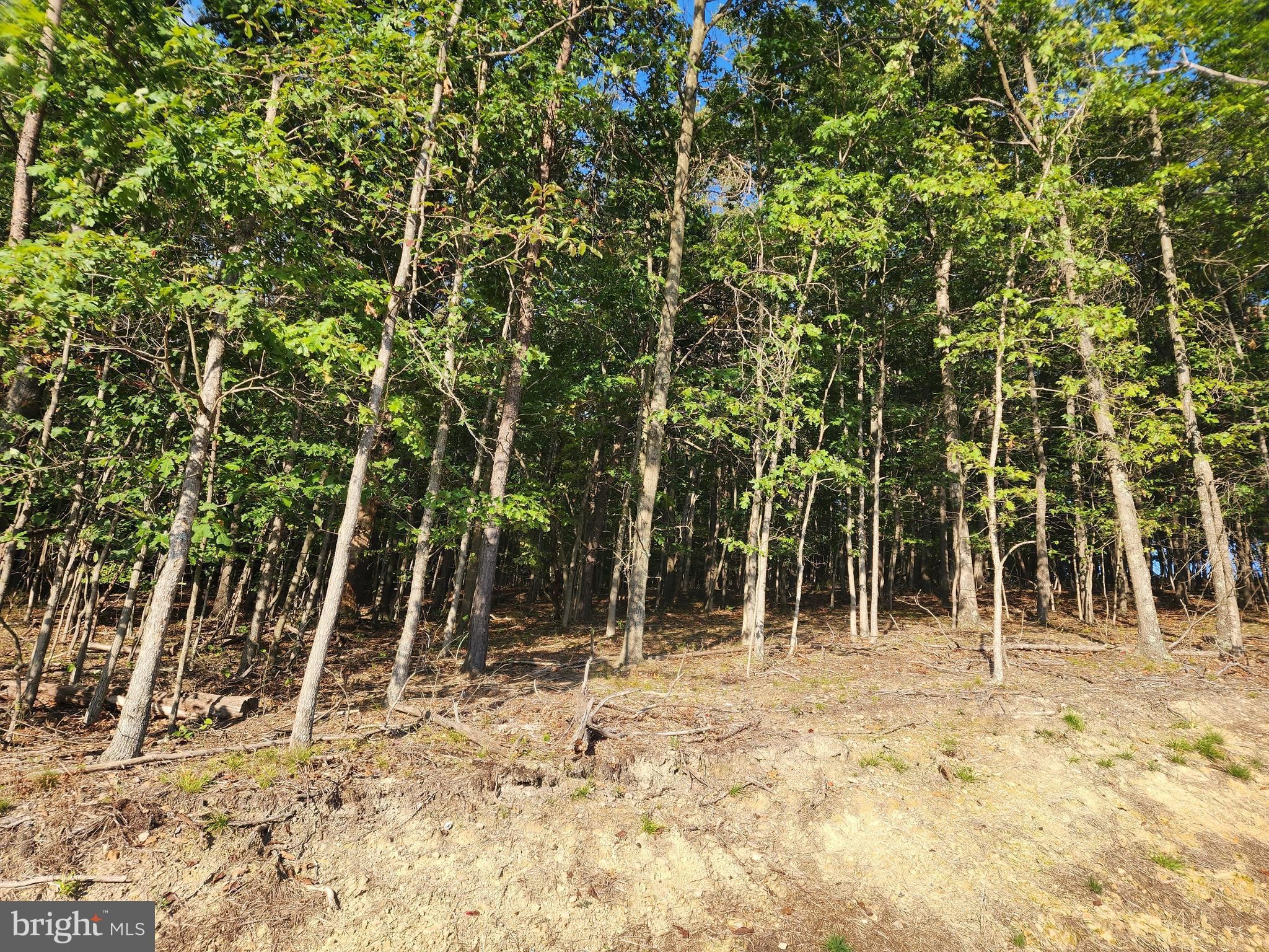 Parcel 79.4 Sugar Hollow Rd, Berkeley Springs, WV 25411 - See Est ...