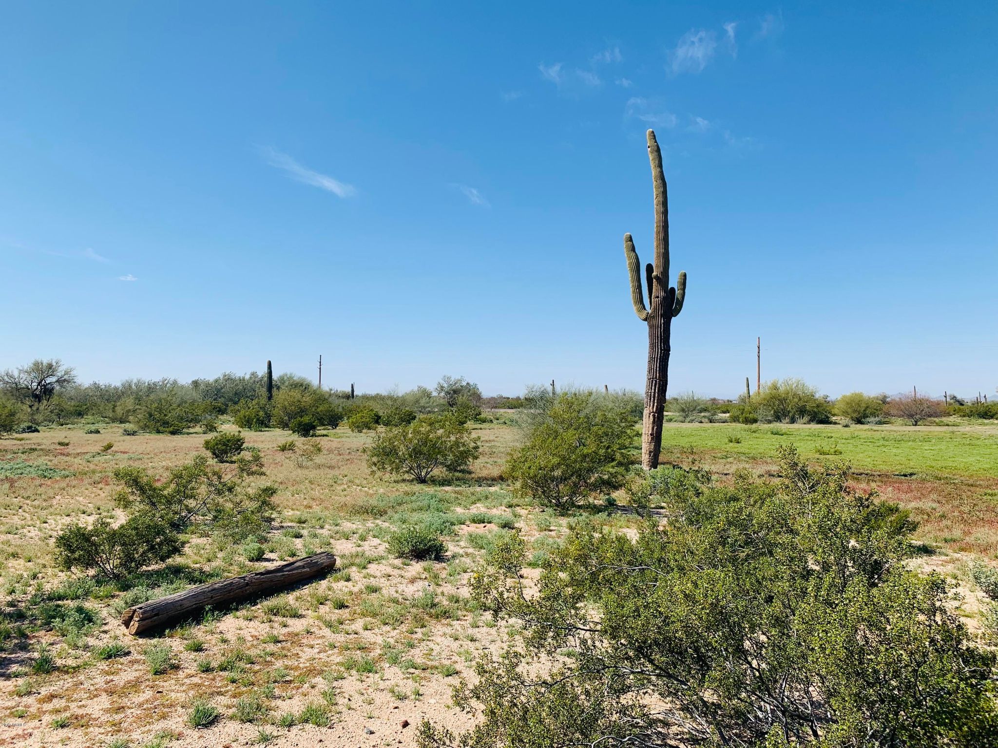 11935 N Diffin Rd, Florence, AZ 85132 - See Est. Value, Schools & More