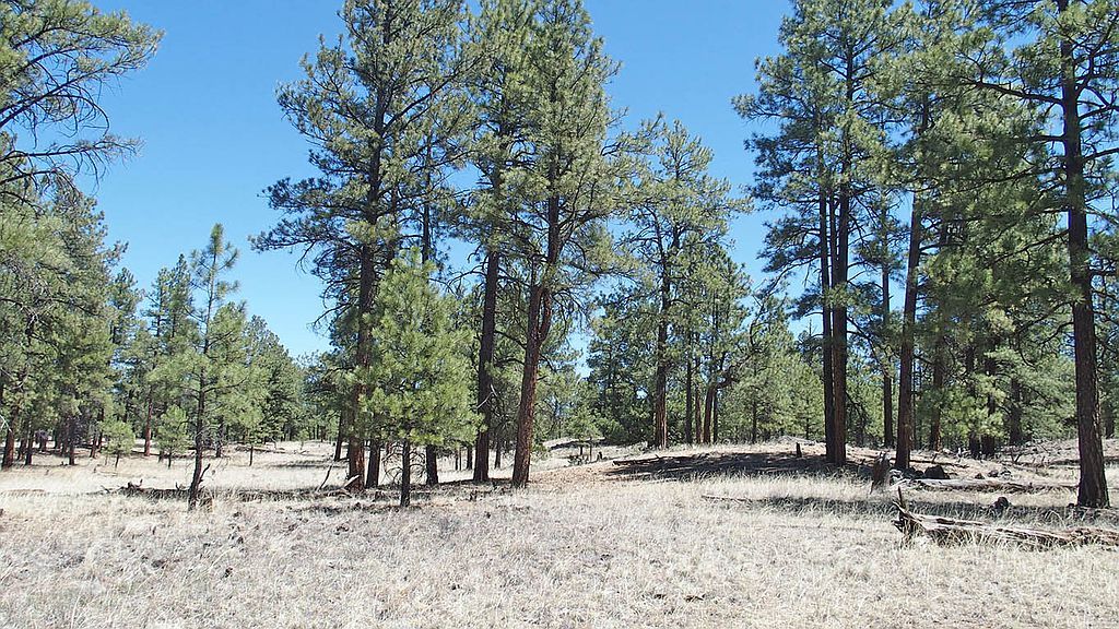 Scoria Rd, Grants, NM 87020 - See Est. Value, Schools & More