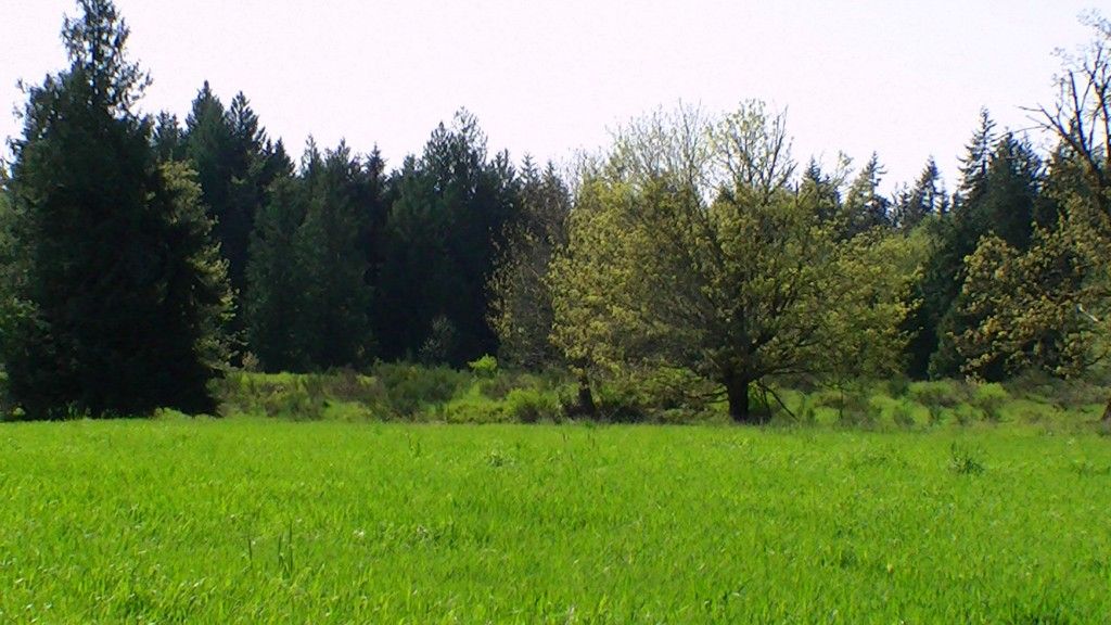 34208 State Route 507 S, Roy, WA 98580 - See Est. Value, Schools & More