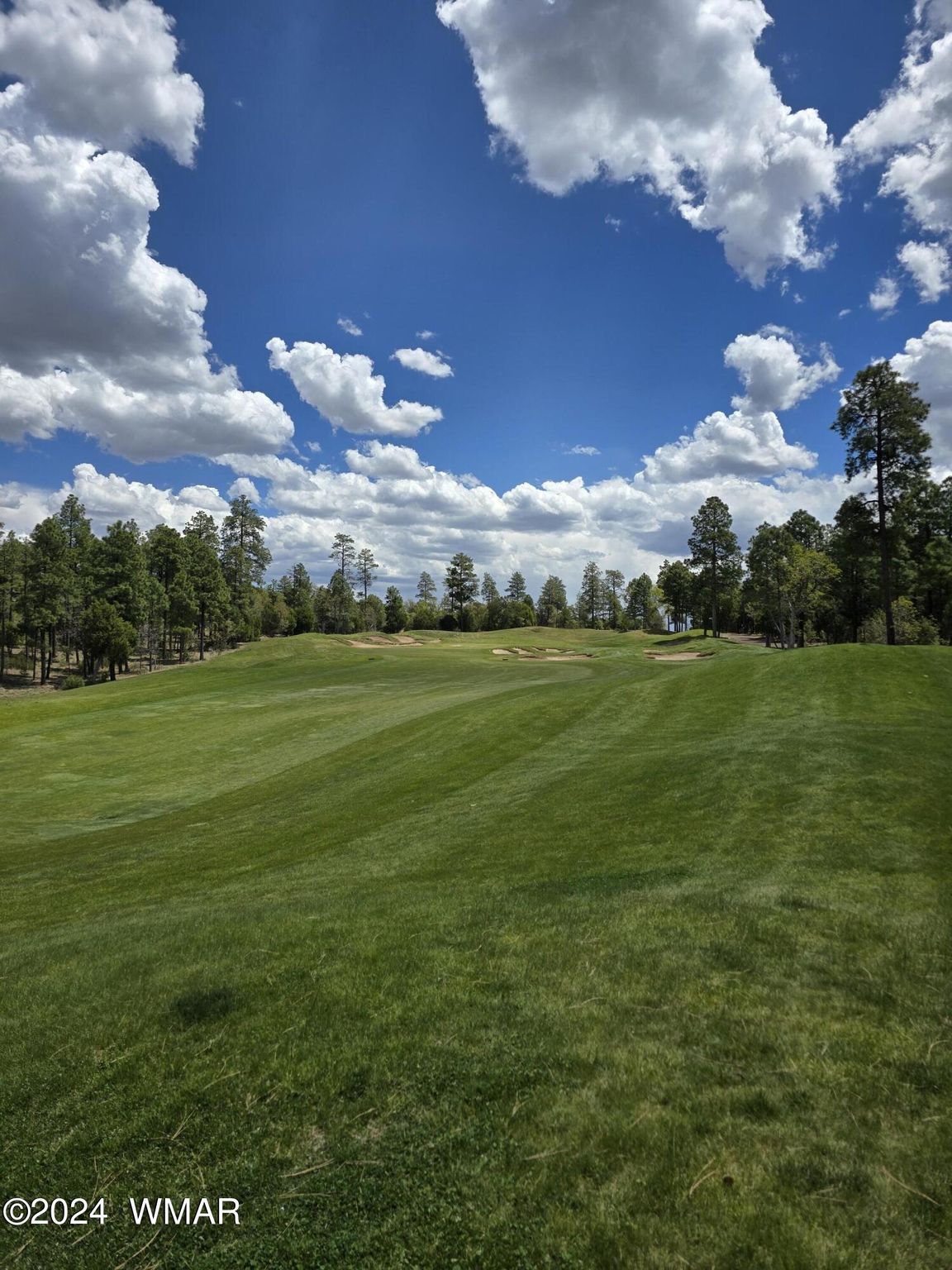 3420 Senna Ln, Show Low, AZ 85901 | MLS# 251010 | Trulia