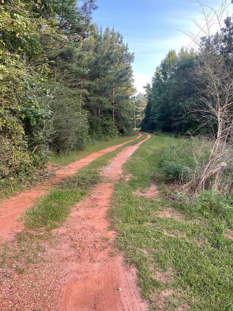 1344 County Road 3310, Brundidge, AL 36010 - See Est. Value, Schools & More