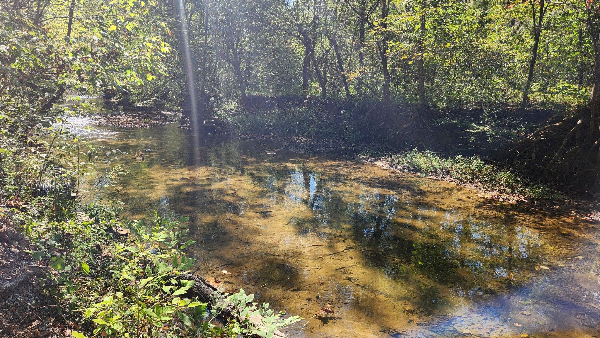 1475 Puncheon Creek Rd, Lafayette, TN 37083 - See Est. Value, Schools ...