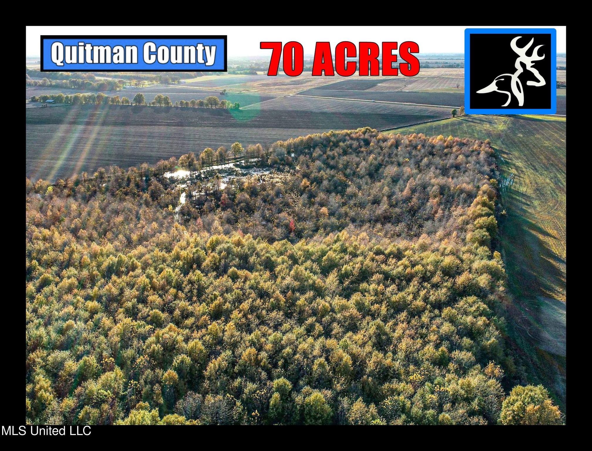 321 Ellis Rd, Lambert, MS 38643 | Trulia