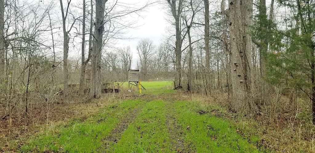 83 Sub Of Helena Plantation, Ferriday, LA 71334 - See Est. Value ...