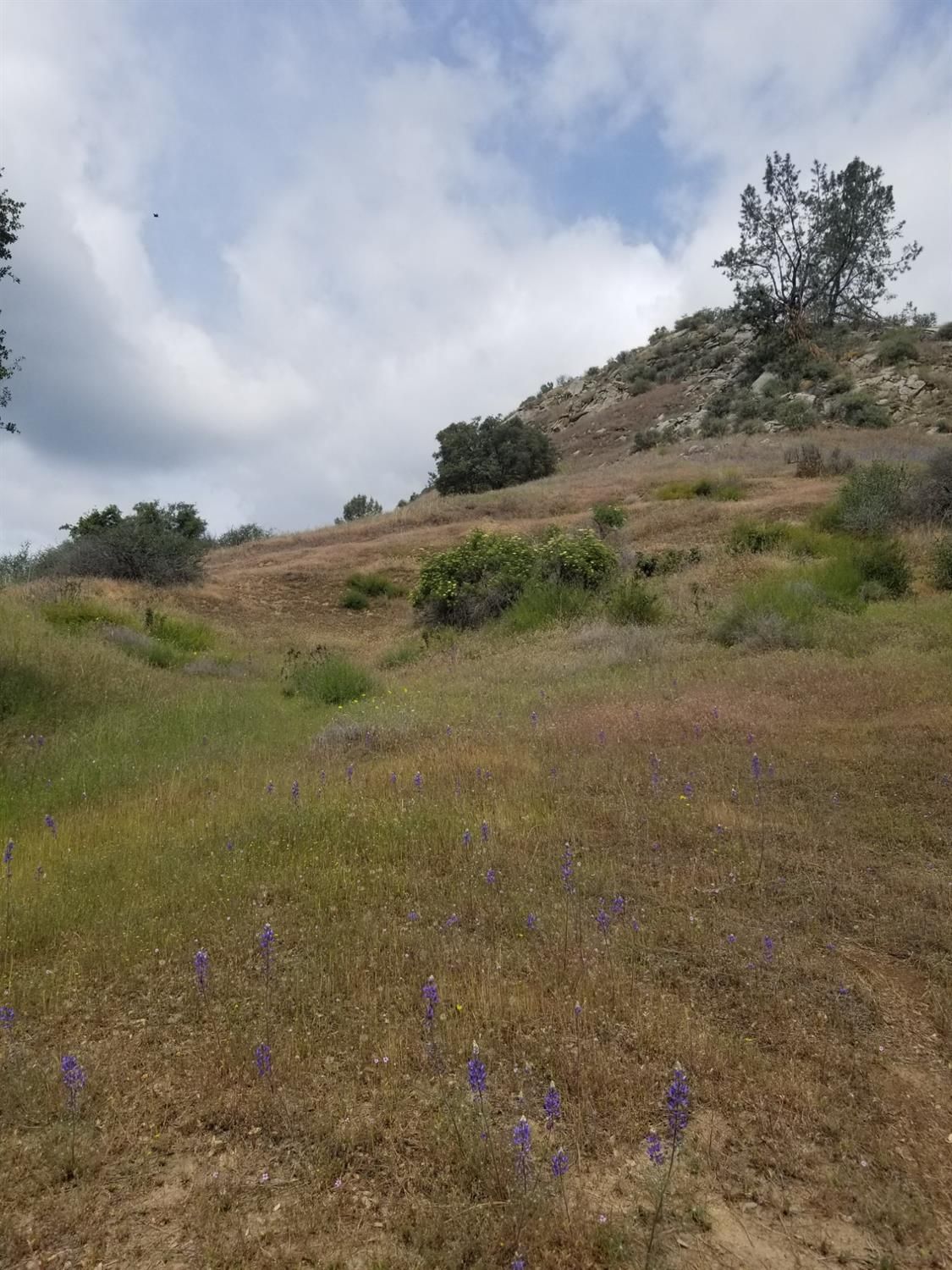 4 Lynx Ln, Prather, CA 93651 | Trulia