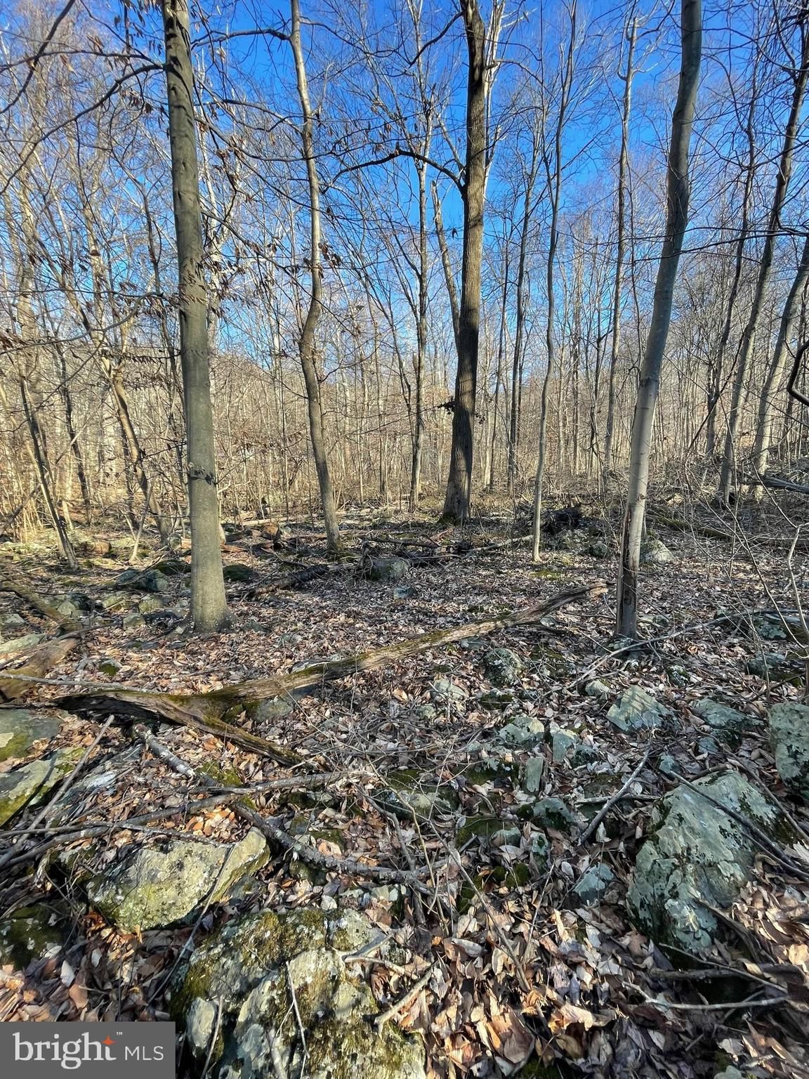 Remainder Fishers Hollow Rd, Myersville, MD 21773 | Trulia