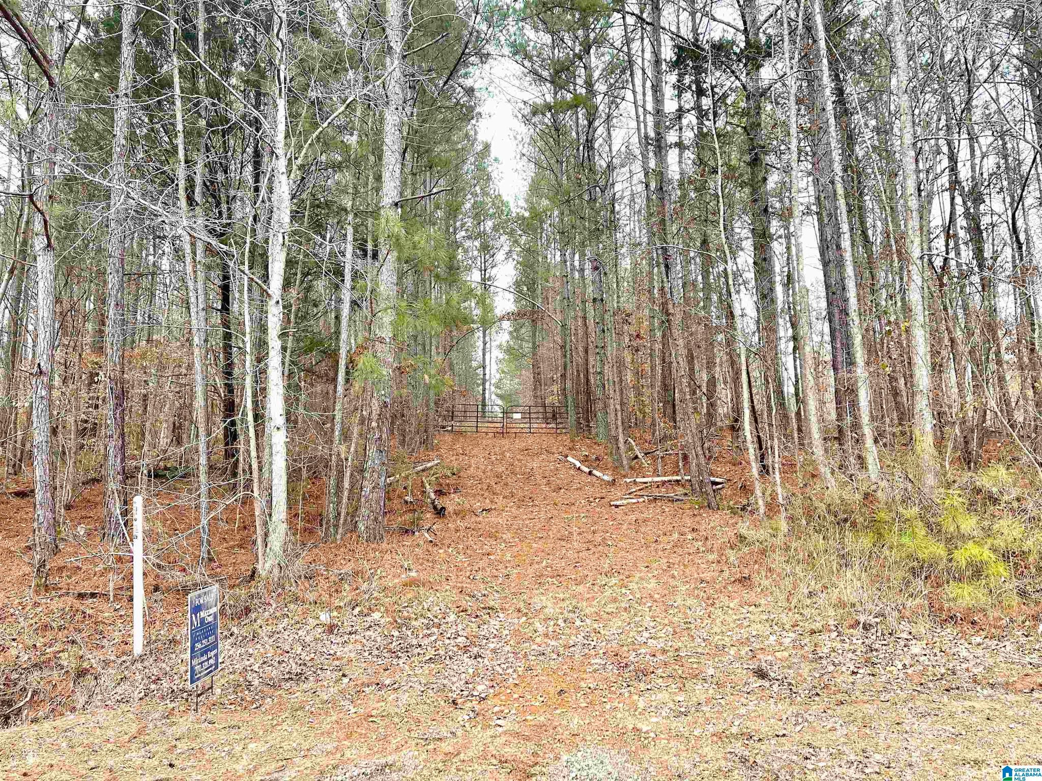 County Road 10 #NA, Ranburne, AL 36273 | Trulia