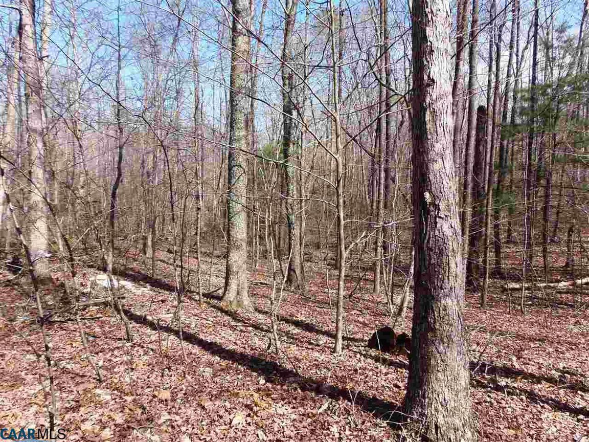 Tatum Rd, Unionville, VA 22567 - See Est. Value, Schools & More