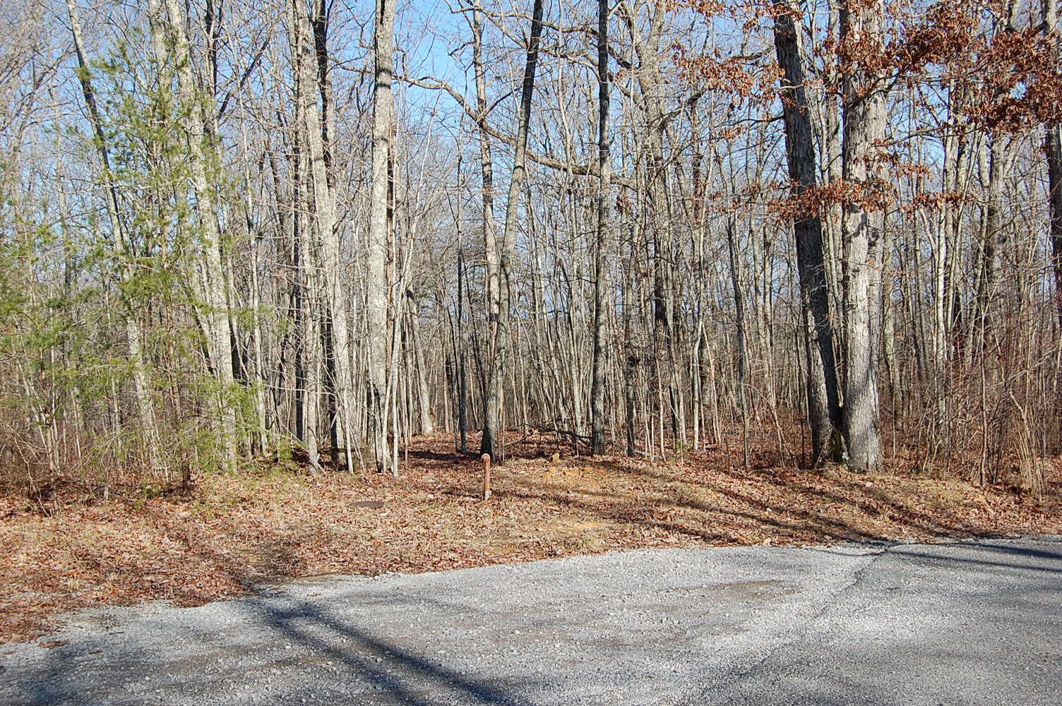 5 Davis Cemetery Rd, Dunlap, TN 37327 | Trulia