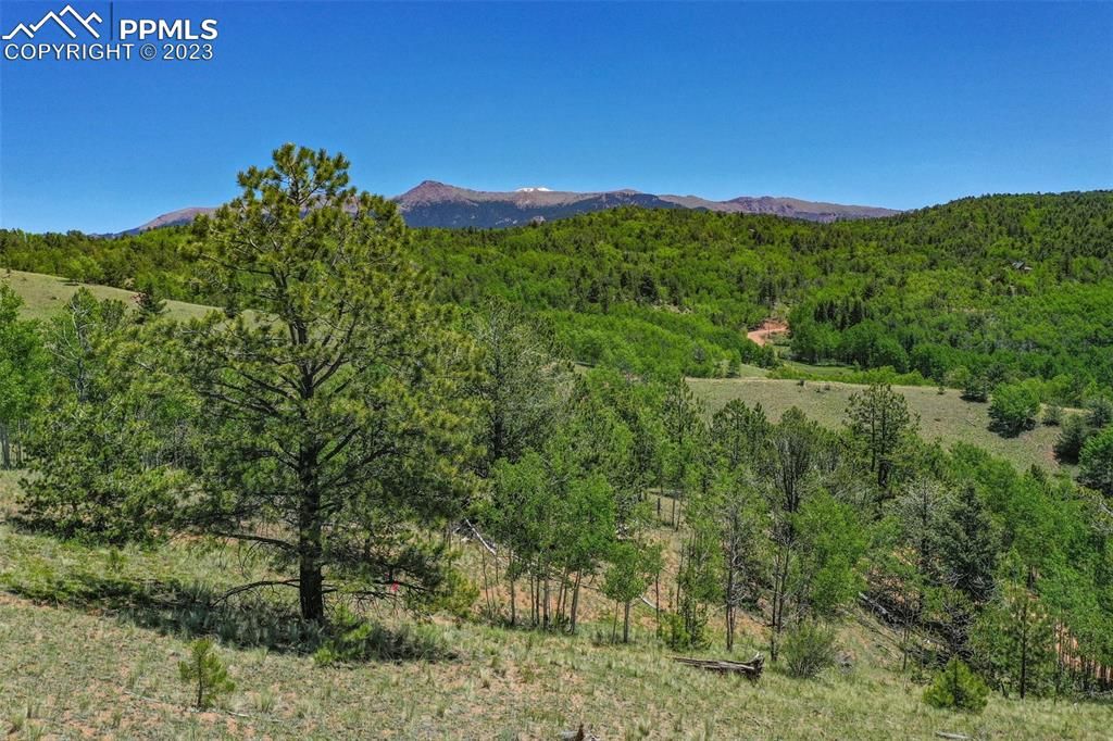 46 Hobo Ct, Cripple Creek, CO 80813 - See Est. Value, Schools & More