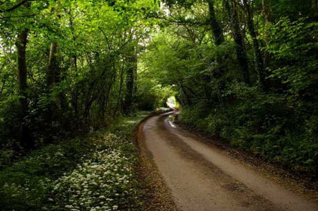 11 Acres Camp Rawls Rd, Aiken, SC 29805 - See Est. Value, Schools & More