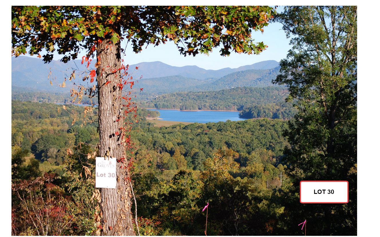 30 Jack Groves Ln, Hayesville, NC 28904 | Trulia