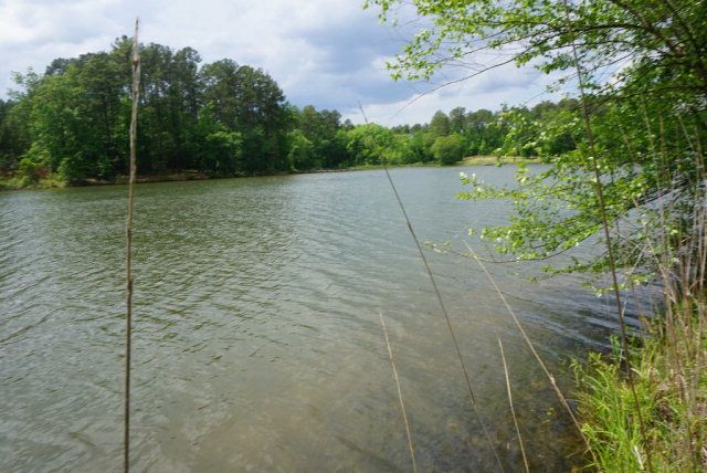 48 Fawn Ct, Chappells, SC 29037 | Trulia