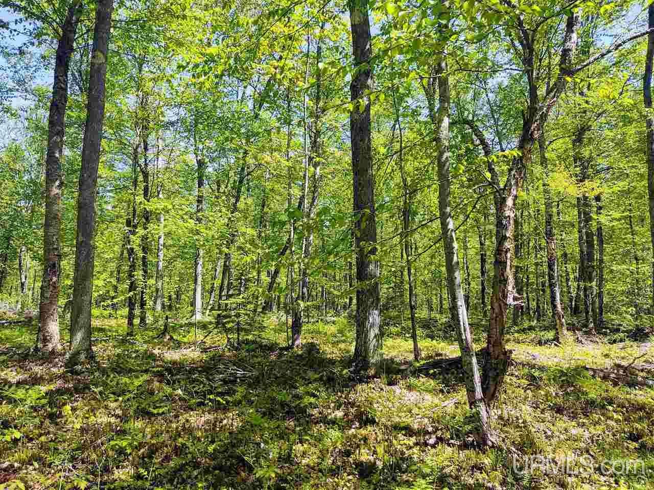 PARCEL Point Abbaye Rd #D, Lanse, MI 49946 - See Est. Value, Schools & More