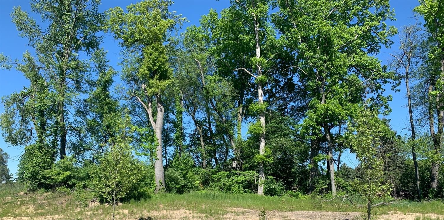 5 Charter Oak Ln, Saline, MI 48176 - See Est. Value, Schools & More