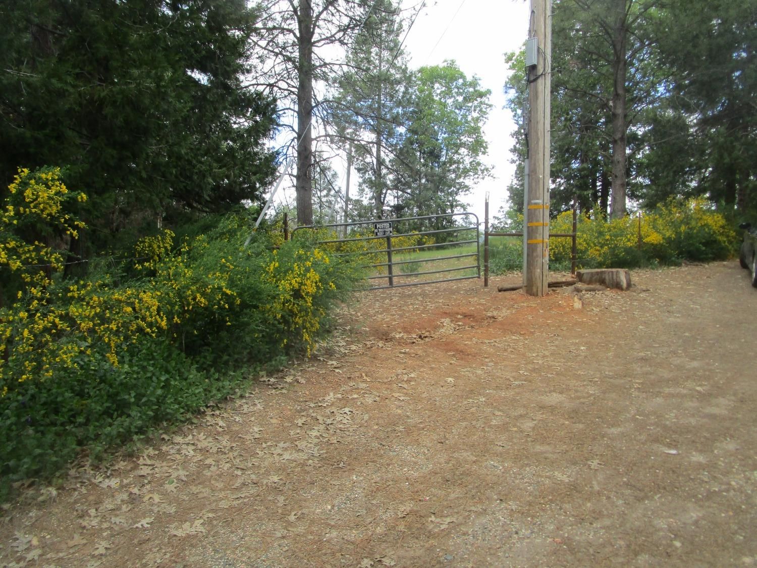 10048 Maiden Ln, North San Juan, CA 95960 - See Est. Value, Schools & More