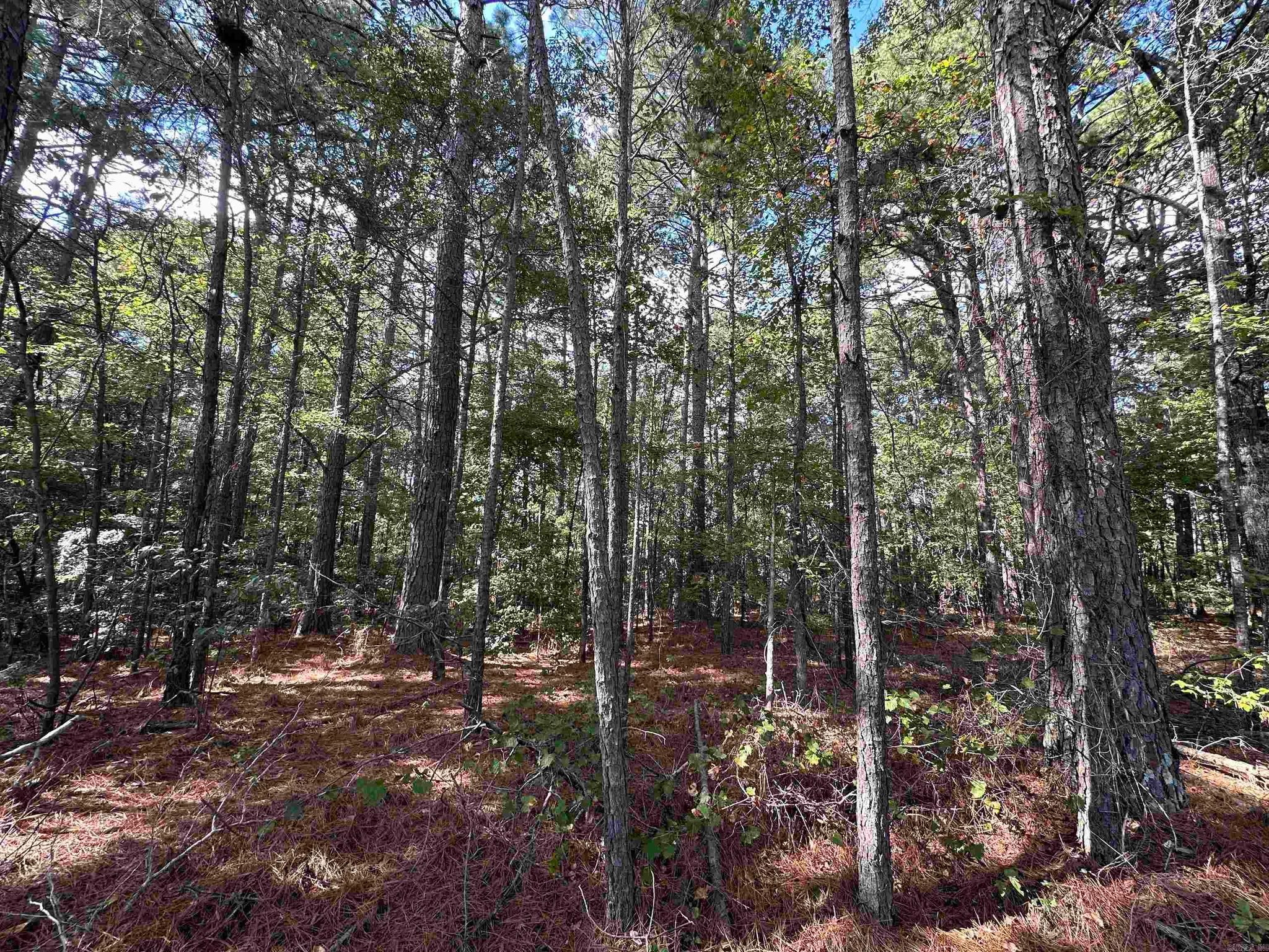 Lakeshore Cv #335, Hensley, AR 72065 | Trulia