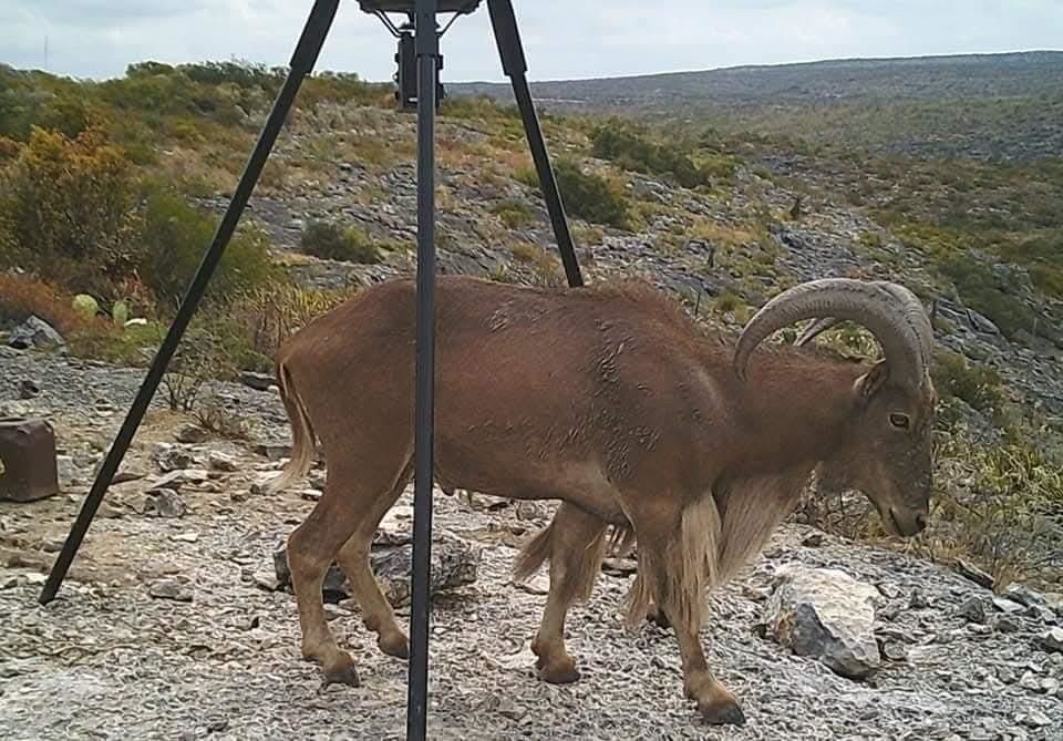 5364 Rio Diablo Pkwy #11, Del Rio, TX 78840 | MLS# 206541 | Trulia