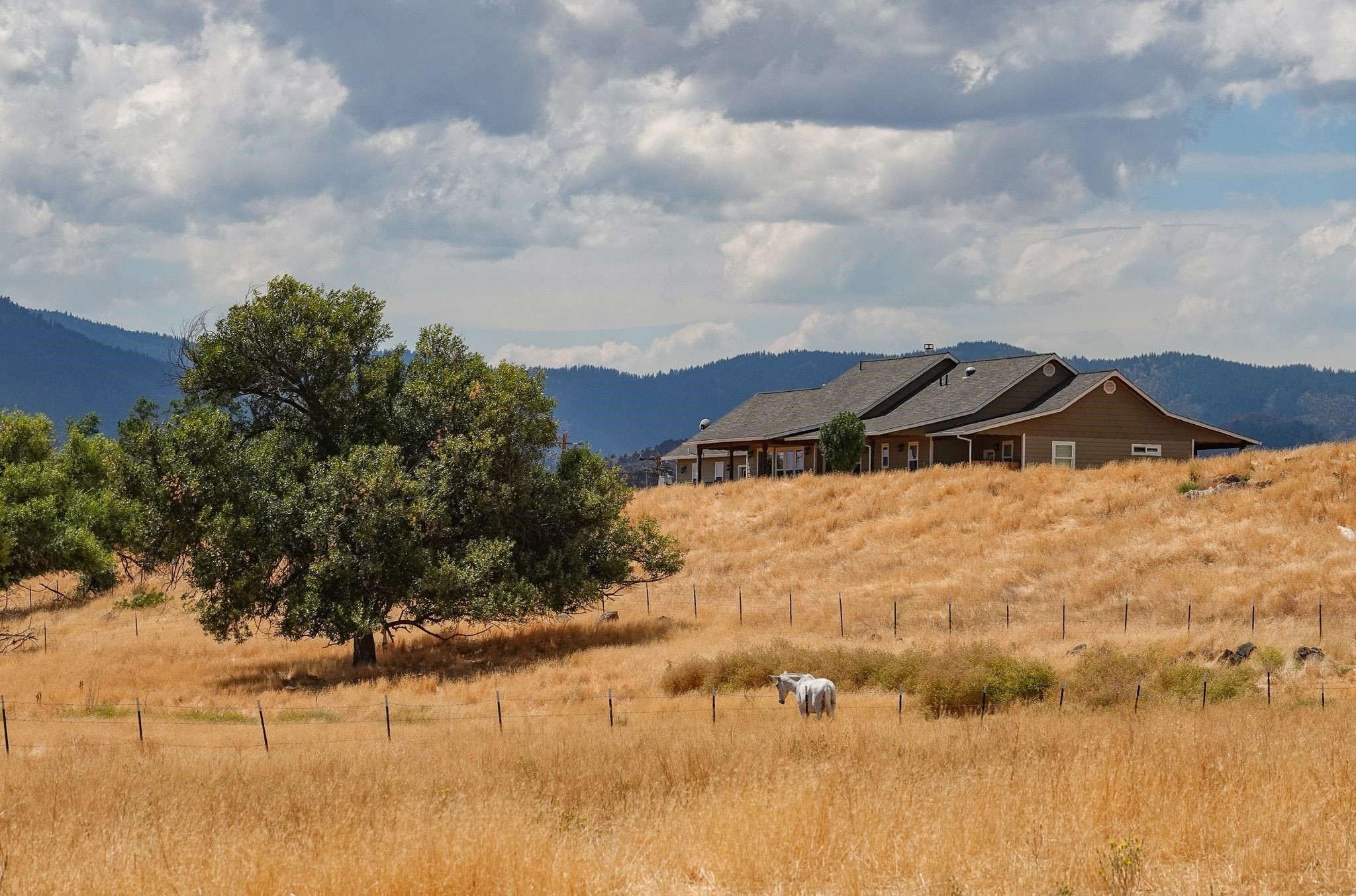1704 Gregory Mountain Rd, Montague, CA 96064 - See Est. Value, Schools & More