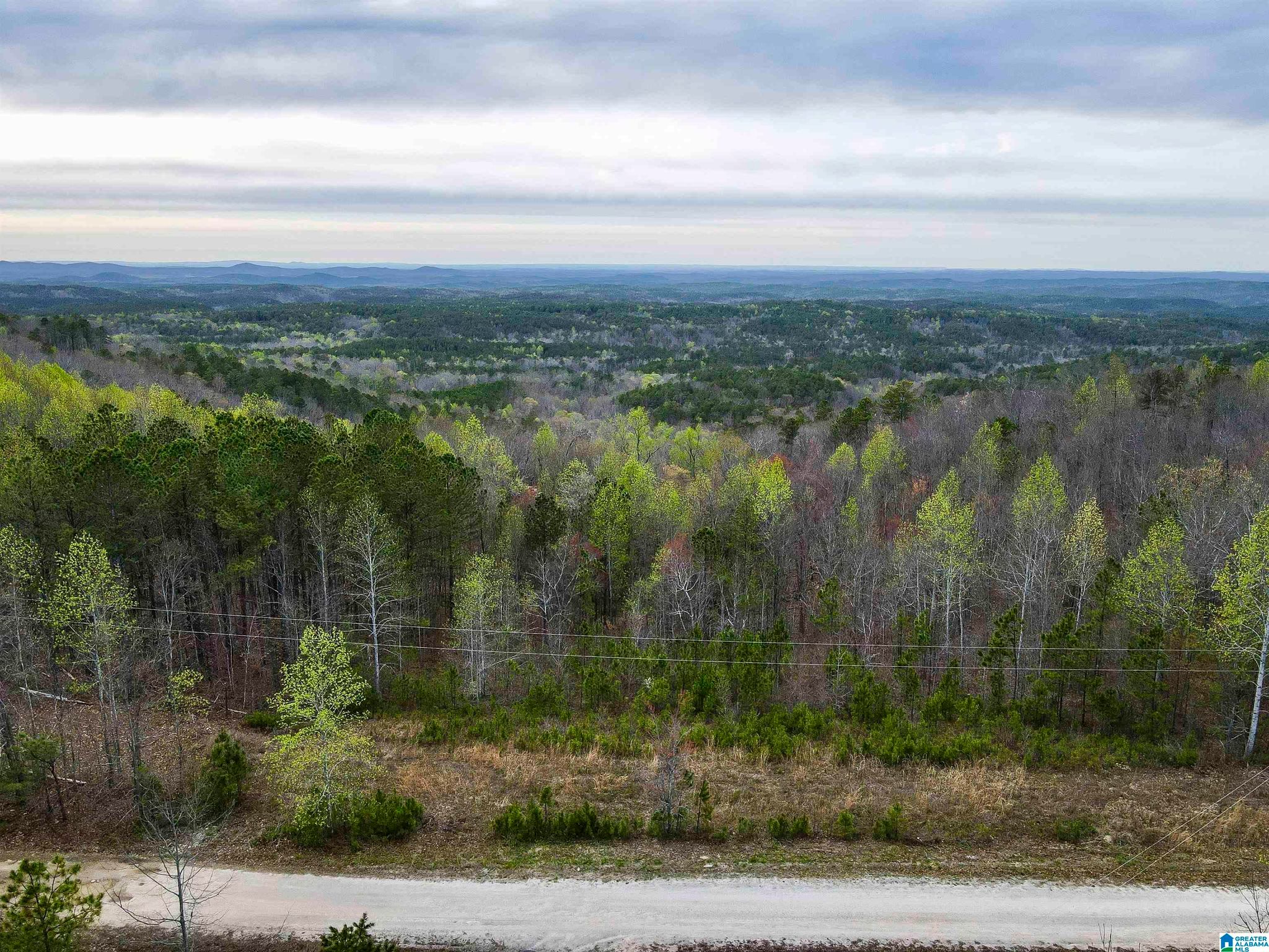 Skyway Mtwy, Lineville, AL 36266 - See Est. Value, Schools & More