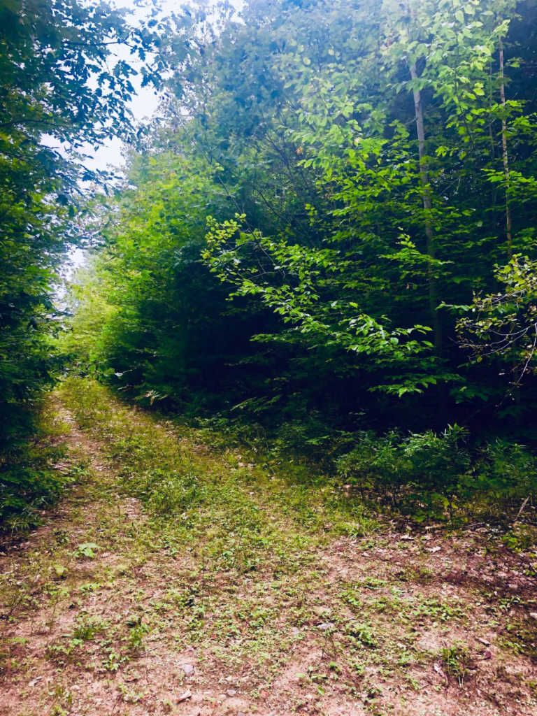 31 Pond Rd, Limerick, ME 04048 - See Est. Value, Schools & More